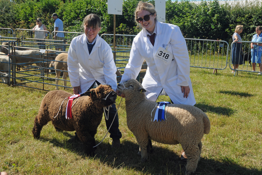 Ashby Show - One of the Best Agricultural Shows in the Midlands